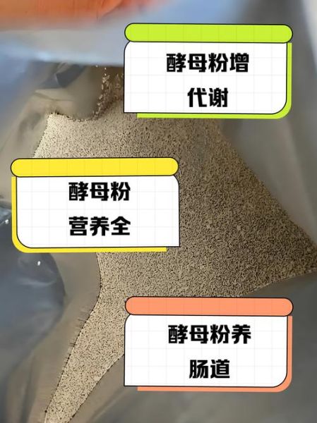 营养酵母粉怎么吃_营养酵母粉的功效与作用-第1张图片-山城妙识 营养酵母粉怎么吃_营养酵母粉的功效与作用-第1张图片-山城妙识