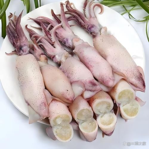 籽乌和海兔有什么区别_哪个更好吃-第1张图片-山城妙识