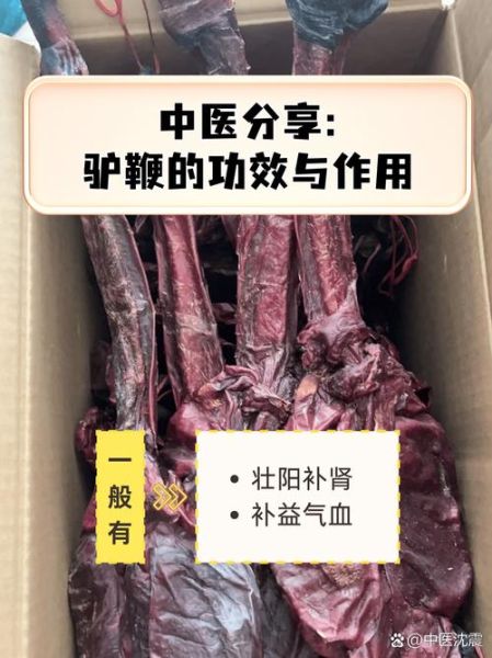 驴鞭怎么吃壮阳效果好_驴鞭壮阳的正确吃法-第1张图片-山城妙识