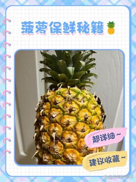 菠萝笔记是什么_怎么用菠萝笔记做读书笔记-第2张图片-山城妙识 菠萝笔记是什么_怎么用菠萝笔记做读书笔记-第2张图片-山城妙识