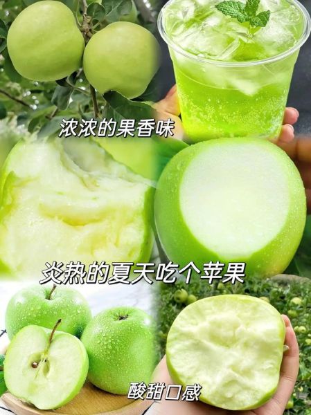 青苹果的功效与作用_青苹果怎么挑选才甜-第1张图片-山城妙识
