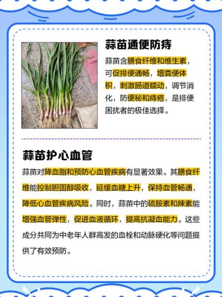 蒜苗的功效与作用禁忌_哪些人不能吃蒜苗-第1张图片-山城妙识