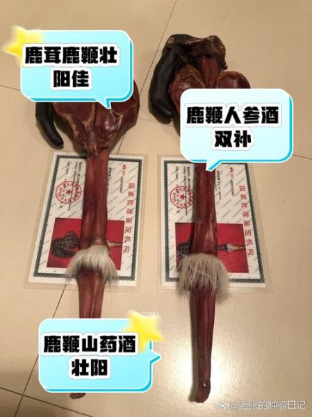 鹿鞭怎么吃效果最好_鹿鞭泡酒配方比例-第2张图片-山城妙识