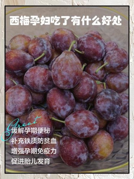 西梅孕妇可以吃吗_西梅的功效与作用孕妇-第1张图片-山城妙识