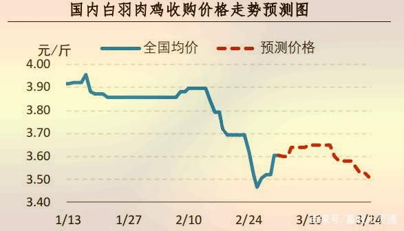 肉鸡价格今日多少钱一斤_肉鸡价格走势还会涨吗-第3张图片-山城妙识