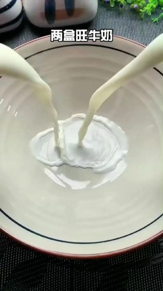 自制冰淇淋粉简单做法_不用冰淇淋机怎么做-第1张图片-山城妙识