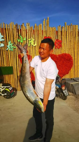 黄剑鱼长什么样_黄剑鱼外形特征-第1张图片-山城妙识 黄剑鱼长什么样_黄剑鱼外形特征-第1张图片-山城妙识