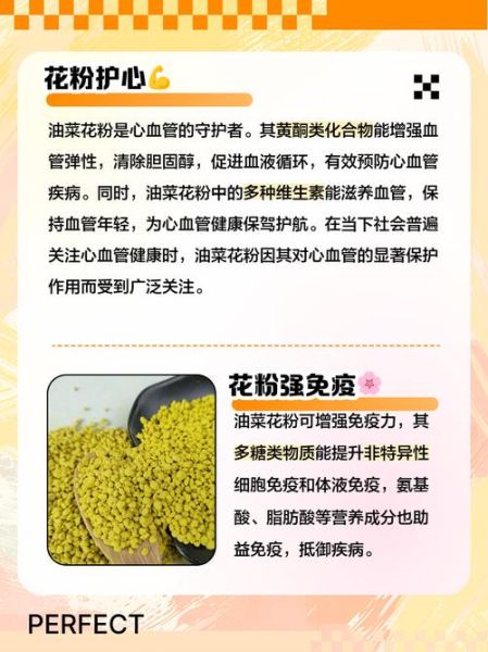 长期吃油菜花粉的危害_有哪些副作用-第2张图片-山城妙识 长期吃油菜花粉的危害_有哪些副作用-第2张图片-山城妙识
