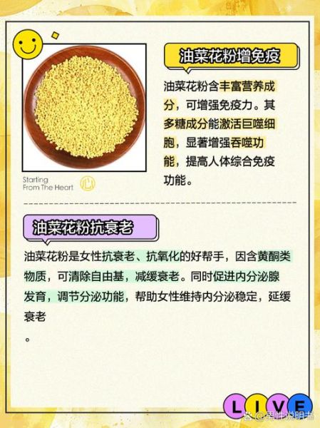 长期吃油菜花粉的危害_有哪些副作用-第1张图片-山城妙识 长期吃油菜花粉的危害_有哪些副作用-第1张图片-山城妙识
