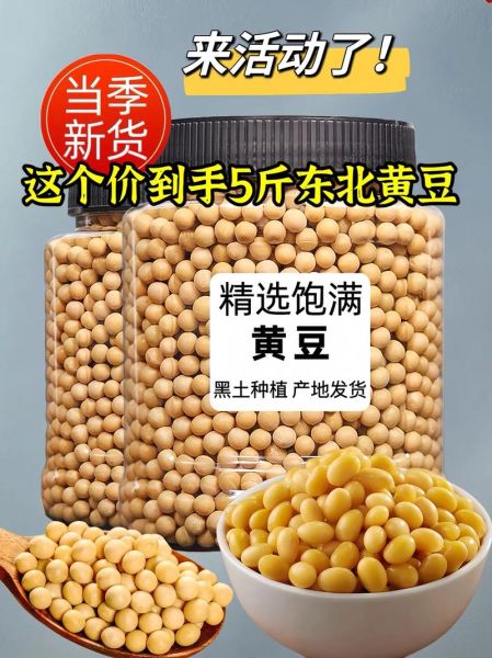 黄豆每天吃多少最好_黄豆一天吃多少克合适-第3张图片-山城妙识