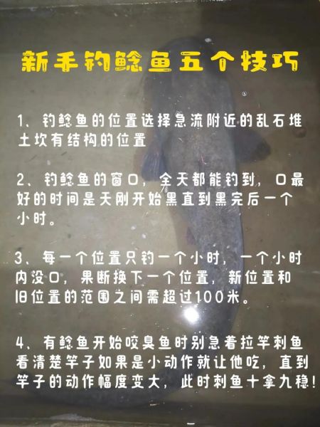 土鲶鱼怎么钓_土鲶鱼钓法技巧-第1张图片-山城妙识 土鲶鱼怎么钓_土鲶鱼钓法技巧-第1张图片-山城妙识