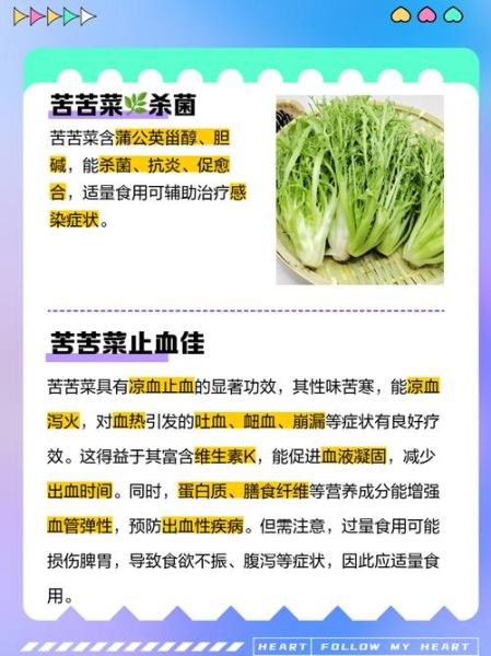 苦菜是什么菜_苦菜的功效与作用-第1张图片-山城妙识