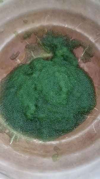 鱼卵的功效与作用_鱼卵的禁忌人群有哪些-第3张图片-山城妙识 鱼卵的功效与作用_鱼卵的禁忌人群有哪些-第3张图片-山城妙识