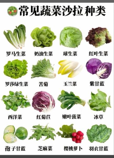蔬菜名称大全_蔬菜有哪些种类-第2张图片-山城妙识