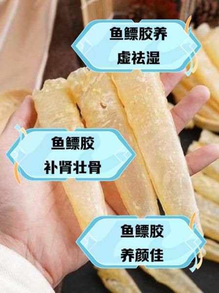 鱼鳔的功效与作用禁忌_鱼鳔怎么吃最营养-第2张图片-山城妙识