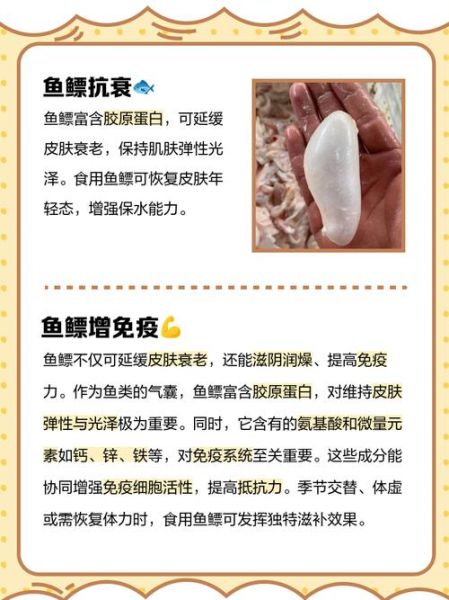 鱼鳔的功效与作用禁忌_鱼鳔怎么吃最营养-第1张图片-山城妙识