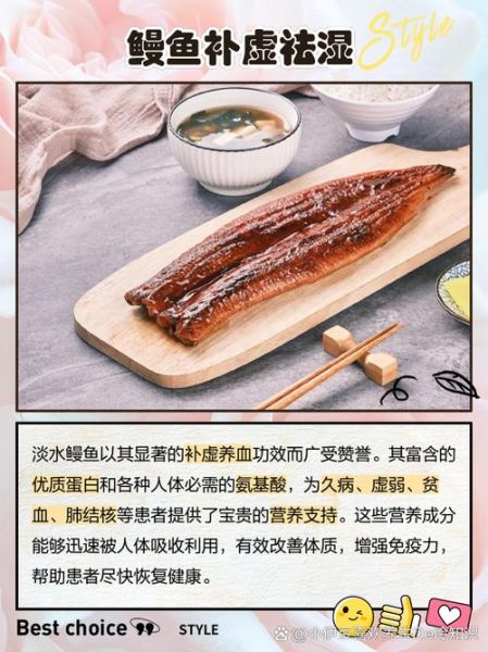 石鳗鱼的功效与作用_石鳗鱼怎么吃最补-第2张图片-山城妙识