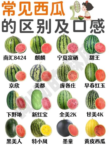 西瓜的功效与作用有哪些_西瓜营养价值高吗-第2张图片-山城妙识