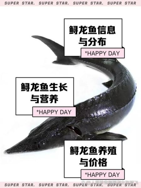 鲟鱼怎么杀图解步骤_鲟鱼宰杀前怎么处理-第1张图片-山城妙识 鲟鱼怎么杀图解步骤_鲟鱼宰杀前怎么处理-第1张图片-山城妙识