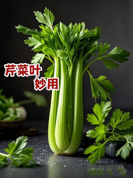 小芹菜叶子能吃吗_小芹菜叶子怎么吃-第1张图片-山城妙识