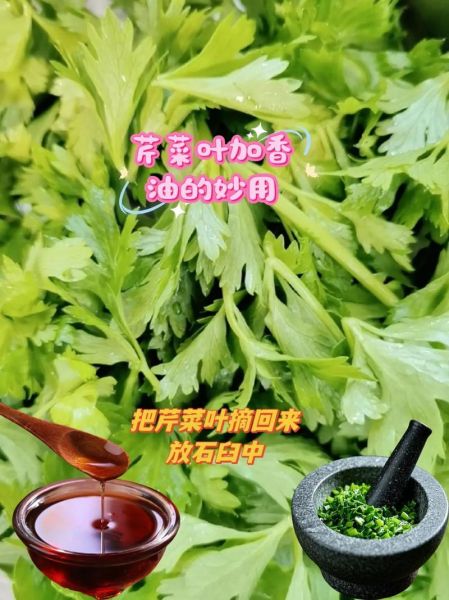 小芹菜叶子能吃吗_小芹菜叶子怎么吃-第3张图片-山城妙识