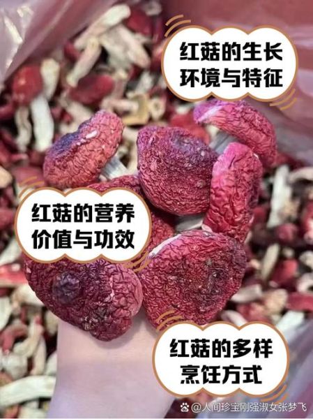 大红菇的功效与作用_孕妇能吃吗-第2张图片-山城妙识