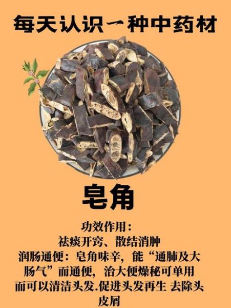 皂角洗头有什么好处_皂角洗头能去屑吗-第2张图片-山城妙识 皂角洗头有什么好处_皂角洗头能去屑吗-第2张图片-山城妙识