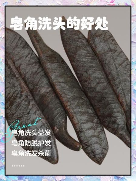 皂角洗头有什么好处_皂角洗头能去屑吗-第1张图片-山城妙识 皂角洗头有什么好处_皂角洗头能去屑吗-第1张图片-山城妙识