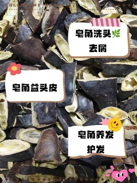 皂角洗头有什么好处_皂角洗头能去屑吗-第3张图片-山城妙识 皂角洗头有什么好处_皂角洗头能去屑吗-第3张图片-山城妙识