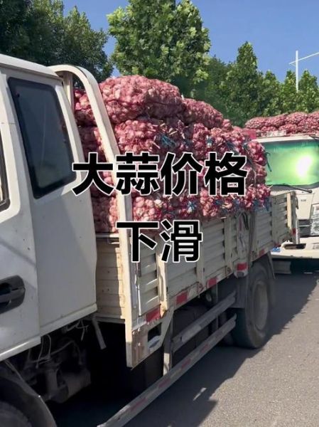 金乡大蒜价格走势图怎么看_金乡大蒜价格为何波动大-第2张图片-山城妙识