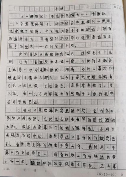 鸡米饭作文怎么写_鸡米饭作文开头怎么写-第1张图片-山城妙识