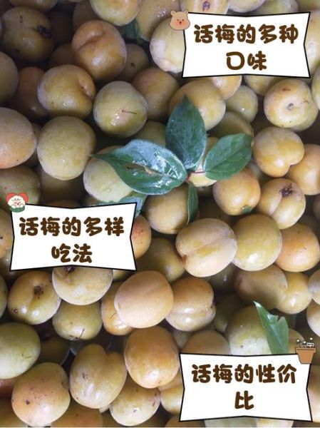话梅怎么腌制_话梅制作步骤详解-第3张图片-山城妙识