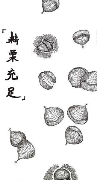 举个栗子图片怎么画_举个栗子简笔画教程-第1张图片-山城妙识