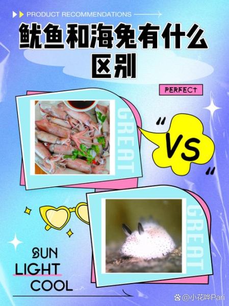 海兔是什么东西_海兔和鱿鱼的区别-第1张图片-山城妙识 海兔是什么东西_海兔和鱿鱼的区别-第1张图片-山城妙识