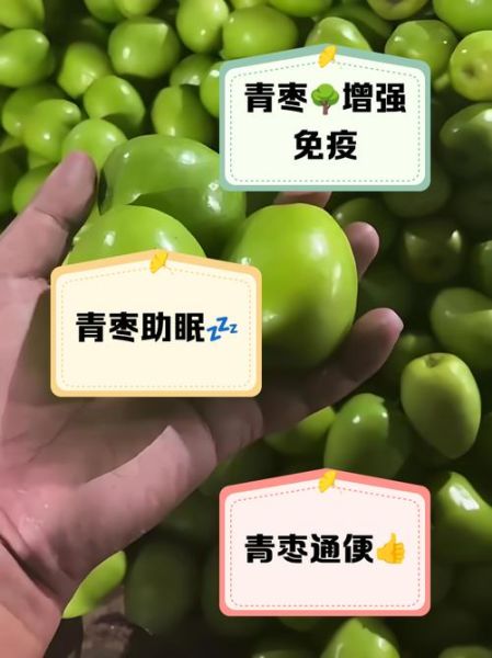青枣是凉性还是热性_青枣的功效与作用-第2张图片-山城妙识
