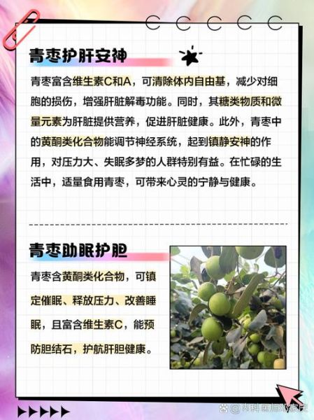 青枣是凉性还是热性_青枣的功效与作用-第3张图片-山城妙识