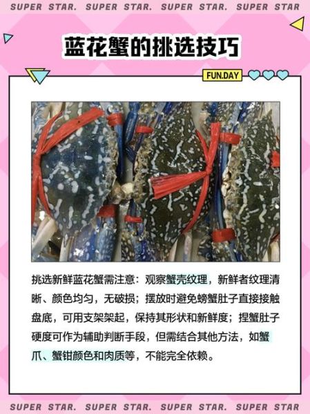 蓝蟹多少钱一斤_蓝蟹价格行情-第1张图片-山城妙识
