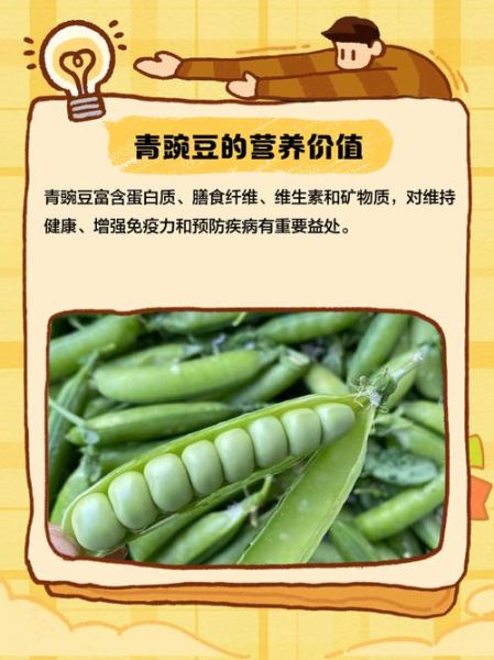 青豌豆的功效与作用_青豌豆怎么吃最营养-第3张图片-山城妙识