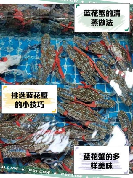 蓝蟹多少钱一斤_蓝蟹价格行情-第3张图片-山城妙识