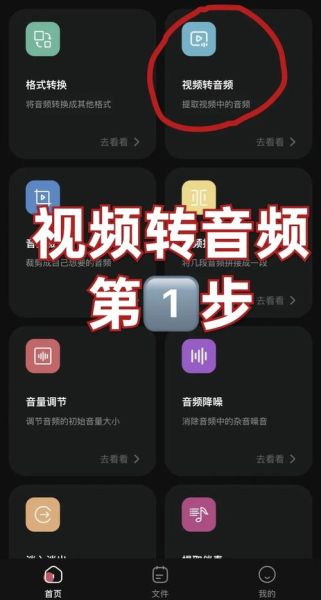 音频制作app哪个好用_如何给视频加配音-第3张图片-山城妙识