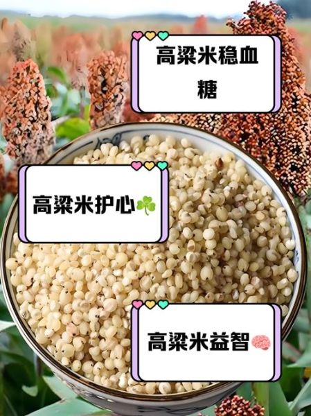 高粱米的功效与作用_高粱米怎么吃最营养-第1张图片-山城妙识 高粱米的功效与作用_高粱米怎么吃最营养-第1张图片-山城妙识