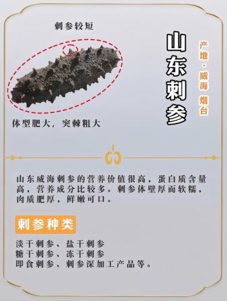 野生海参怎么辨别_野生海参价格多少钱一斤-第1张图片-山城妙识