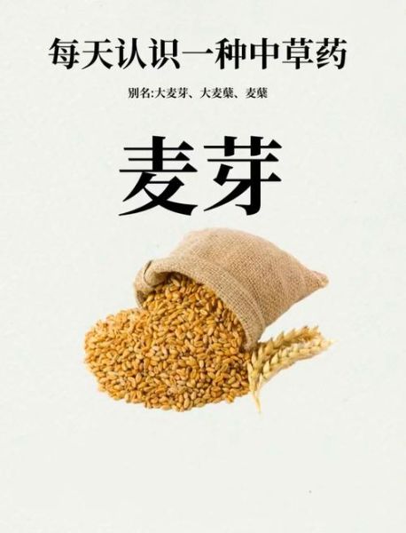 麦芽图片怎么拍_麦芽图片拍摄技巧-第1张图片-山城妙识