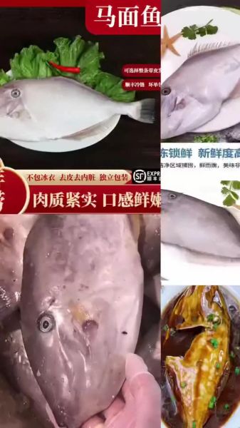 马面鱼怎么剥皮_马面鱼去皮技巧-第2张图片-山城妙识