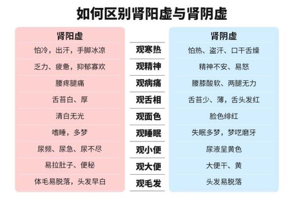 肾阳虚肾阴虚的区别_如何判断自己是哪种虚-第2张图片-山城妙识 肾阳虚肾阴虚的区别_如何判断自己是哪种虚-第2张图片-山城妙识