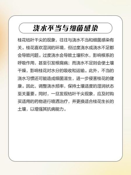 腌桂花变黑原因_还能吃吗-第2张图片-山城妙识