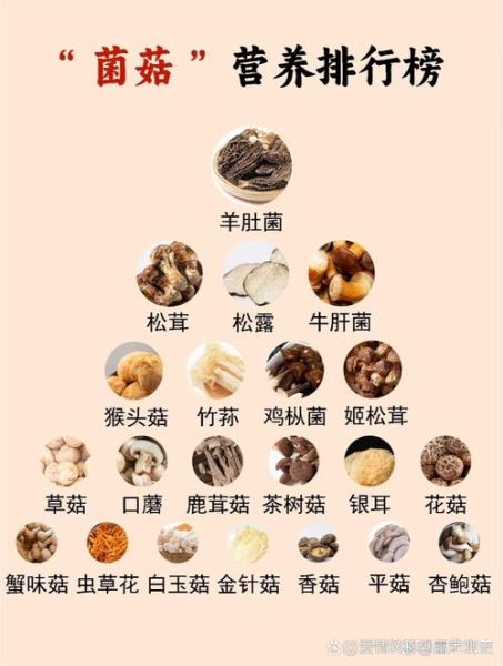 菌菇营养价值排名_哪种菌菇最营养-第1张图片-山城妙识