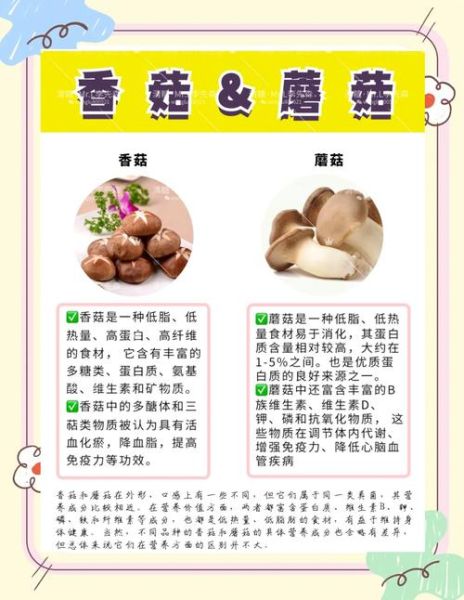 菌菇营养价值排名_哪种菌菇最营养-第3张图片-山城妙识