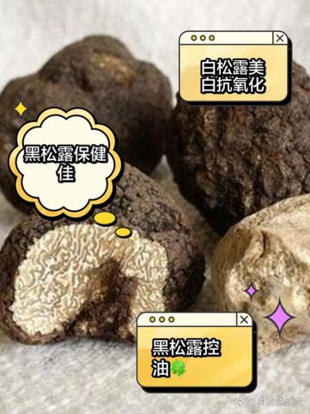 黑松露和白松露的区别_哪个更贵-第1张图片-山城妙识 黑松露和白松露的区别_哪个更贵-第1张图片-山城妙识