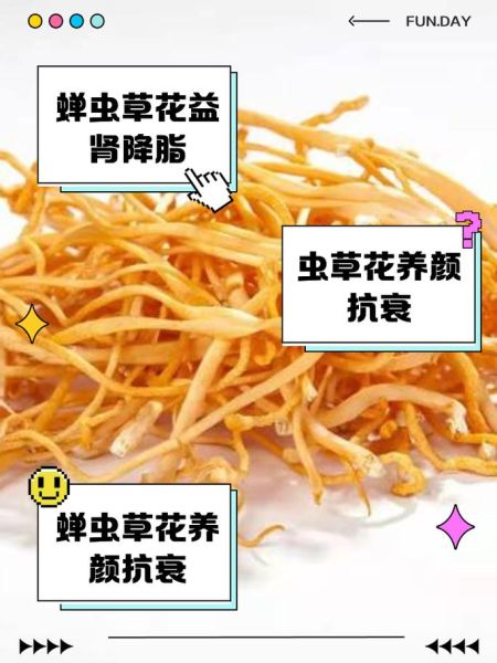 虫草花能长期泡水喝吗_虫草花泡水喝的副作用-第2张图片-山城妙识 虫草花能长期泡水喝吗_虫草花泡水喝的副作用-第2张图片-山城妙识